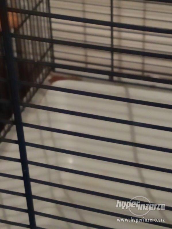 Klec Freddy 2 - bazar - Hyperinzerce.cz