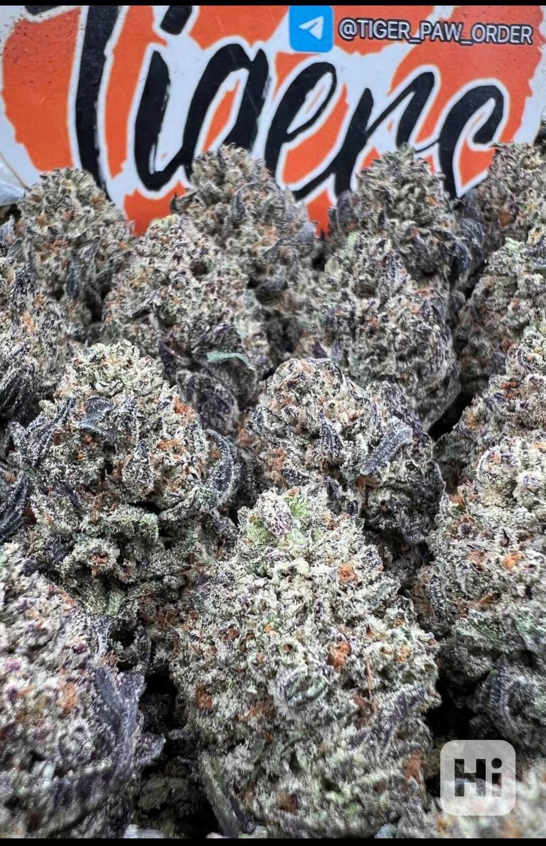 whatsapp +49 163 0221373 buy cannabis Berlin - bazar - Hyperinzerce.cz