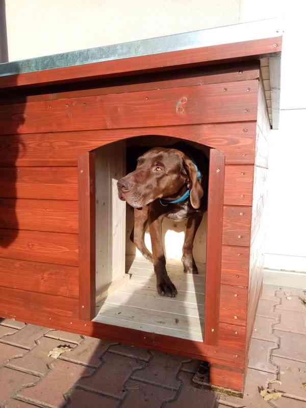 psí bouda, boudy pro psy - bazar - Hyperinzerce.cz