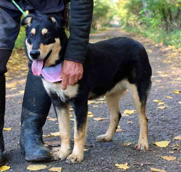 Mimka - bazar - Hyperinzerce.cz