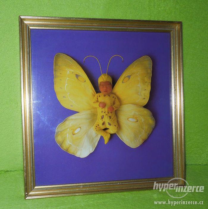 Zarámovaný obrázek – roztomilý motýl (Anne Geddes) - bazar ...