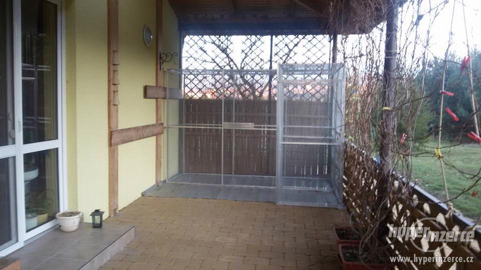Voliery,klece,přepravky - bazar - Hyperinzerce.cz