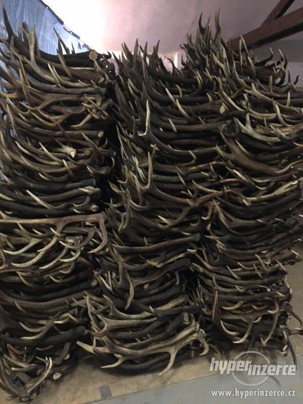 VYKUPUJEME PAROHY, SHOZ, SHOZY, ROHY, JELEN, DANĚK, LOS, SRN - bazar ...