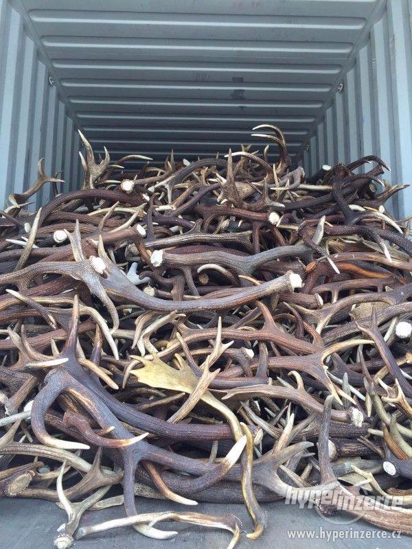 VYKUPUJEME PAROHY, SHOZ, SHOZY, ROHY, JELEN, DANĚK, LOS, SRN - bazar ...