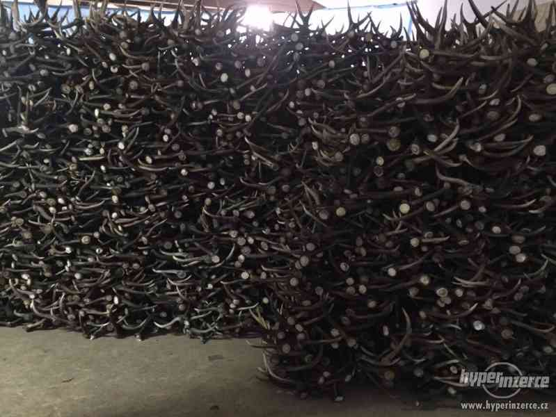 VYKUPUJEME PAROHY, SHOZ, SHOZY, ROHY, JELEN, DANĚK, LOS, SRN - bazar ...