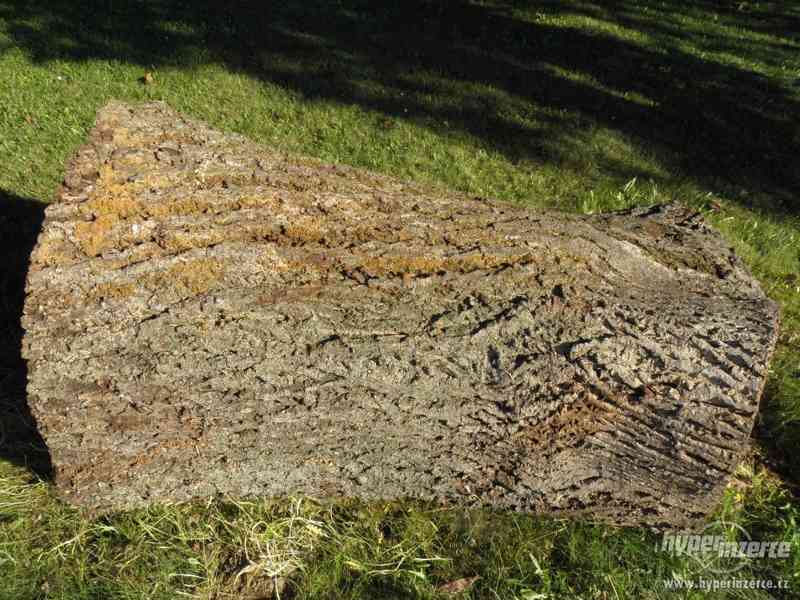 prodáme kmen ořechu. - bazar - Hyperinzerce.cz