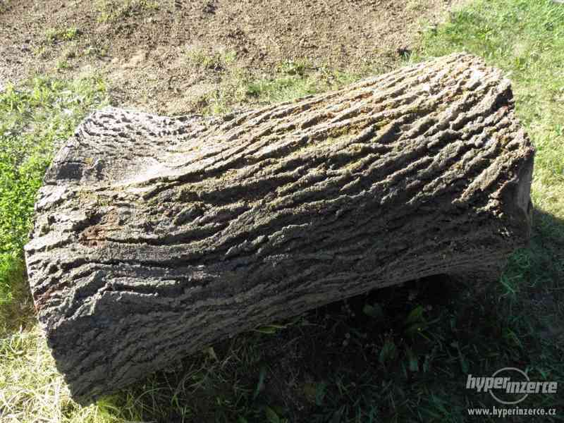 prodáme kmen ořechu. - bazar - Hyperinzerce.cz