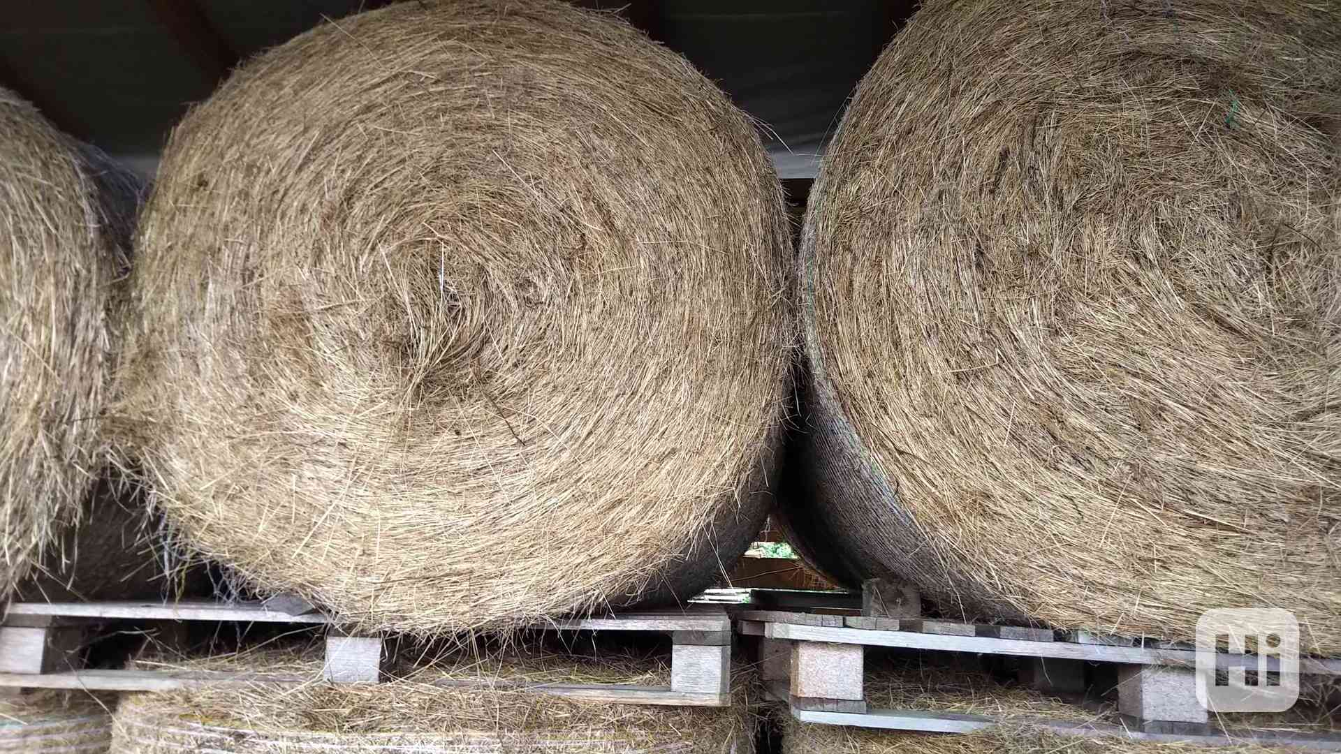 Seno - kulaté balíky 125cm - bazar - Hyperinzerce.cz