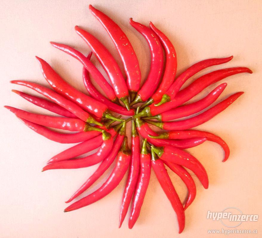 Long Slim Cayenne - čerstvé chilli - bazar - Hyperinzerce.cz