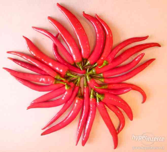 Long Slim Cayenne - čerstvé chilli - bazar - Hyperinzerce.cz