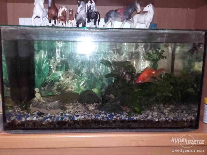 Akvárium 50l - bazar - Hyperinzerce.cz