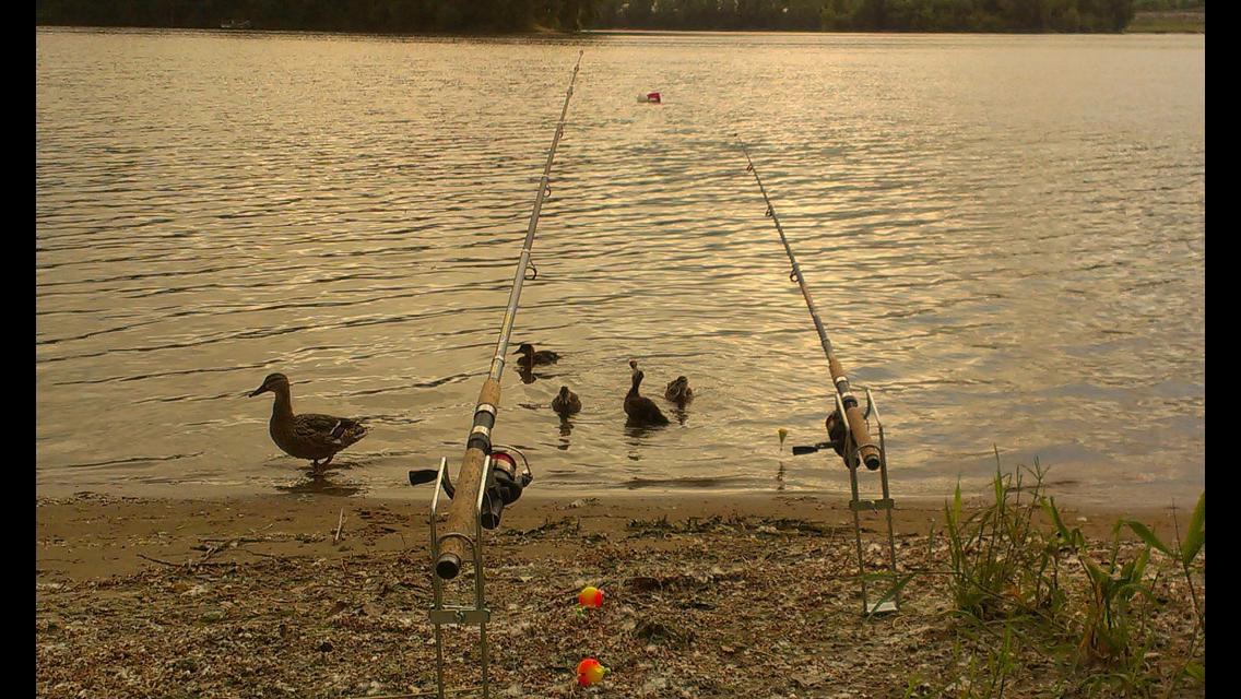 Pronájem parkovacích míst pro obytné vozy - bazar - Hyperinzerce.cz