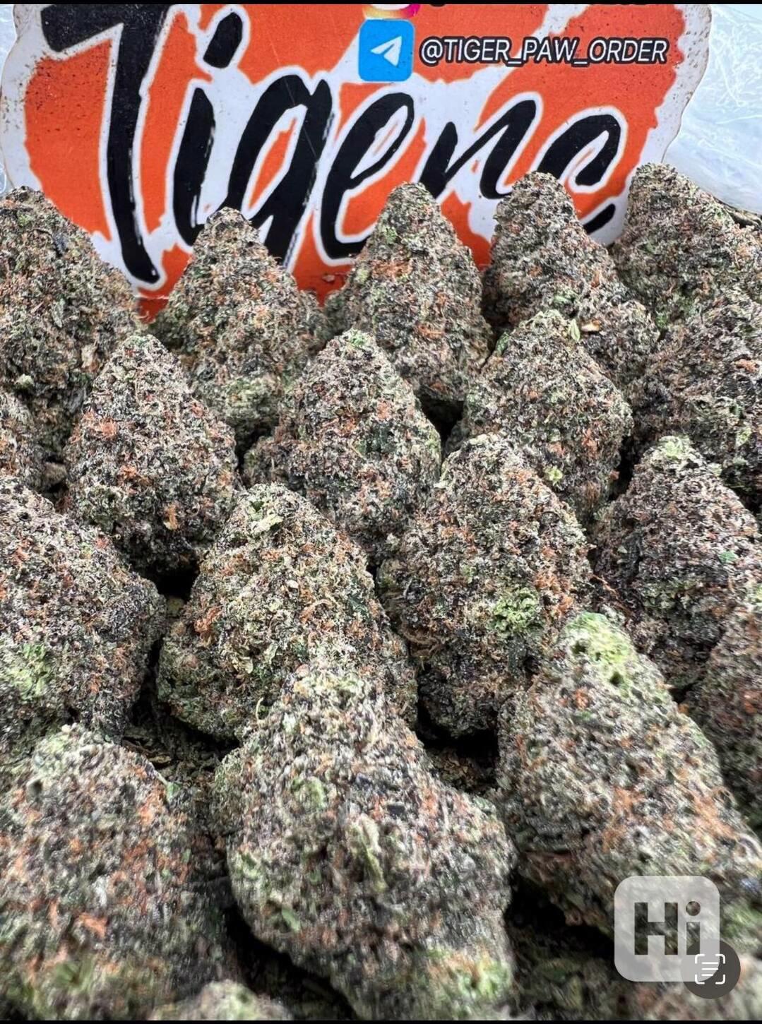 whatsapp +49 163 0221373 Buy Marijuana Germany Online - bazar ...