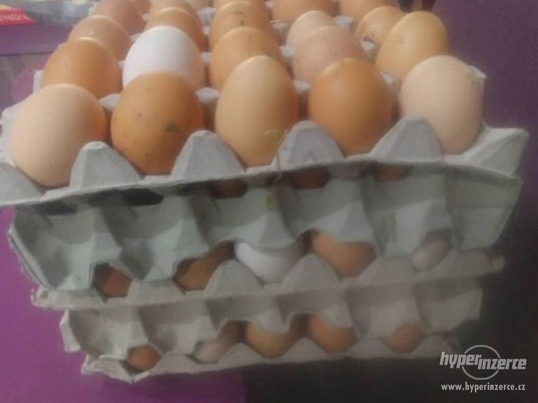 Domácí Vajíčka - bazar - Hyperinzerce.cz