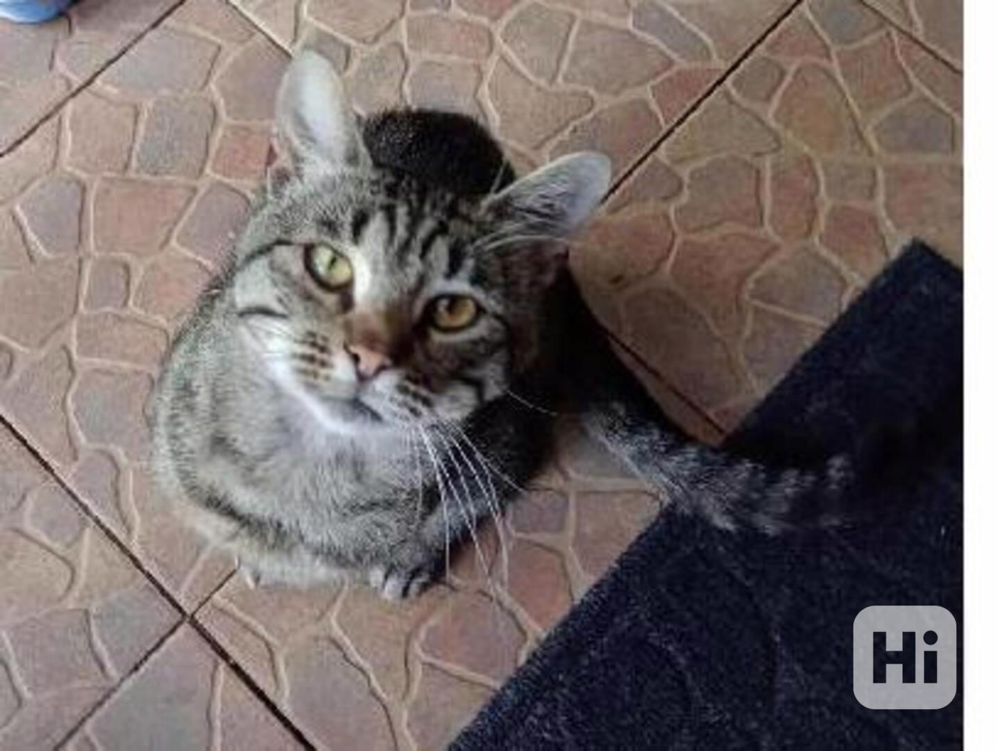 KULDA - bazar - Hyperinzerce.cz