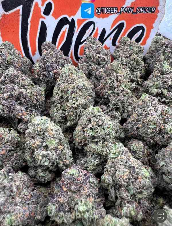 whatsapp +49 163 0221373 Buy Marijuana Germany Online - bazar ...