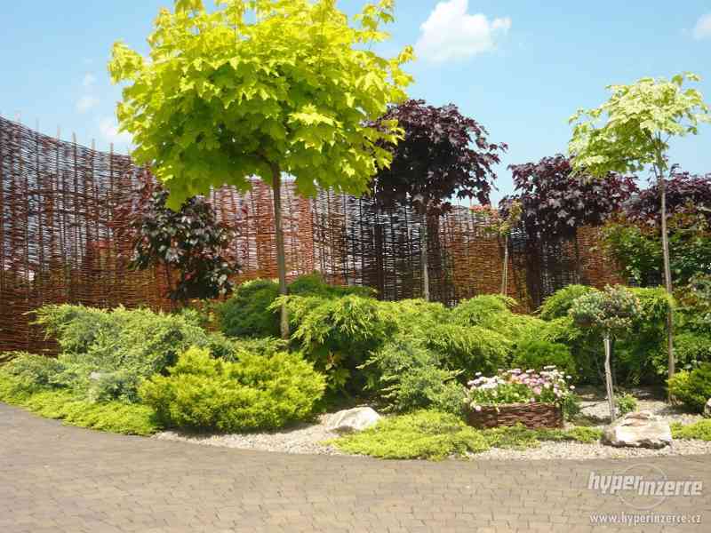 Proutěné ploty - bazar - Hyperinzerce.cz