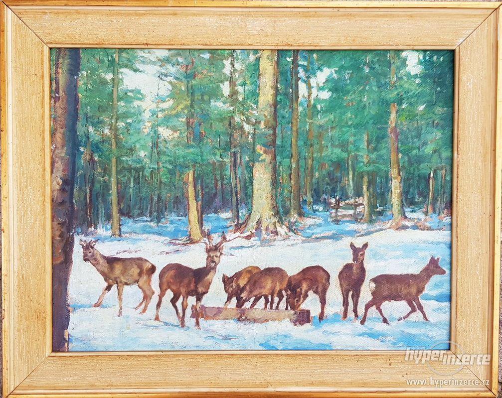 Srnky - bazar - Hyperinzerce.cz