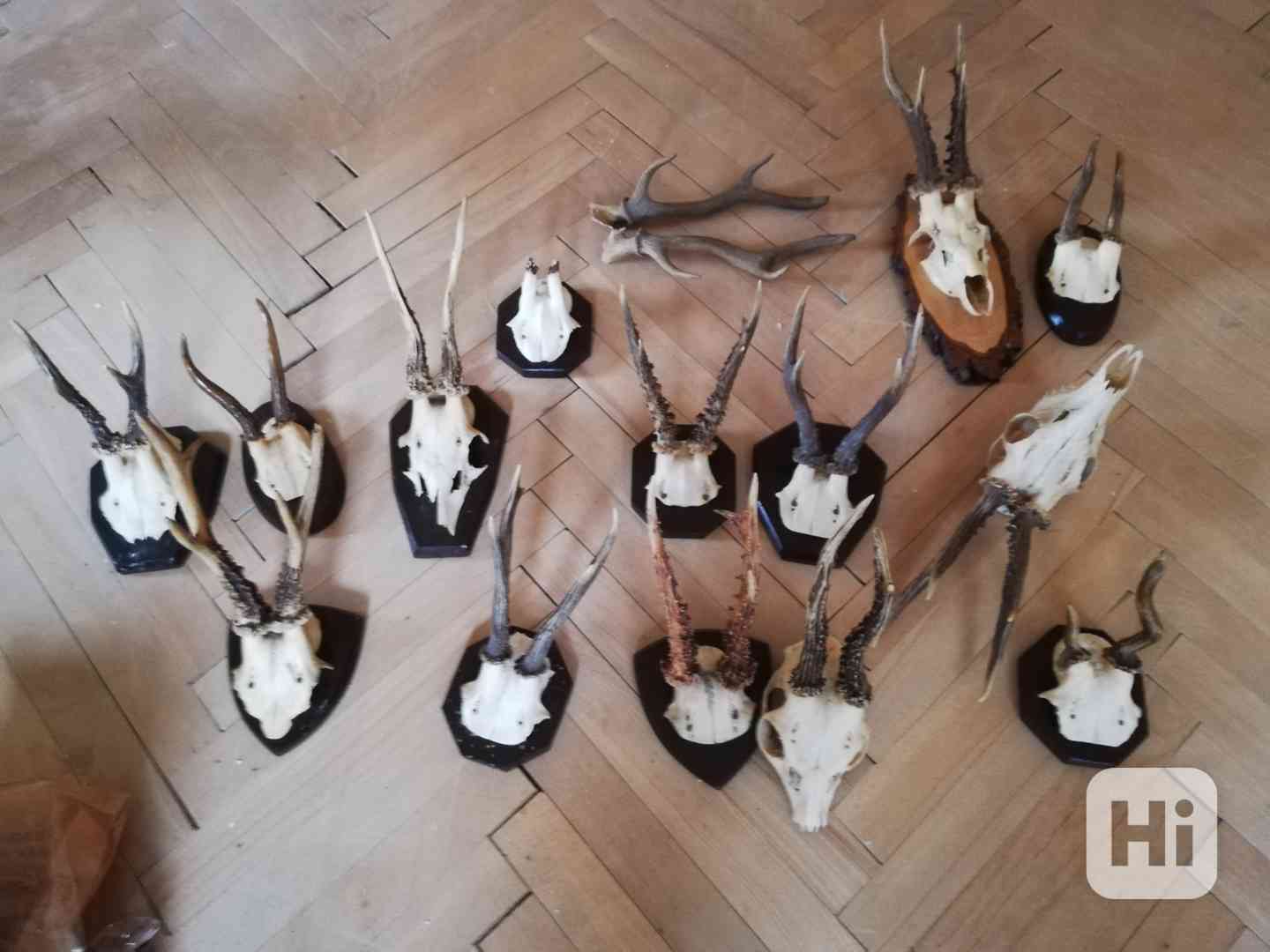 Parohy - bazar - Hyperinzerce.cz