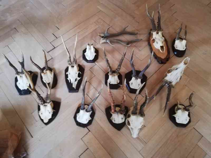 Parohy - bazar - Hyperinzerce.cz