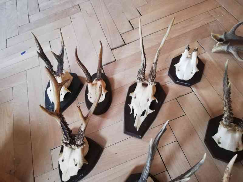 Parohy - bazar - Hyperinzerce.cz