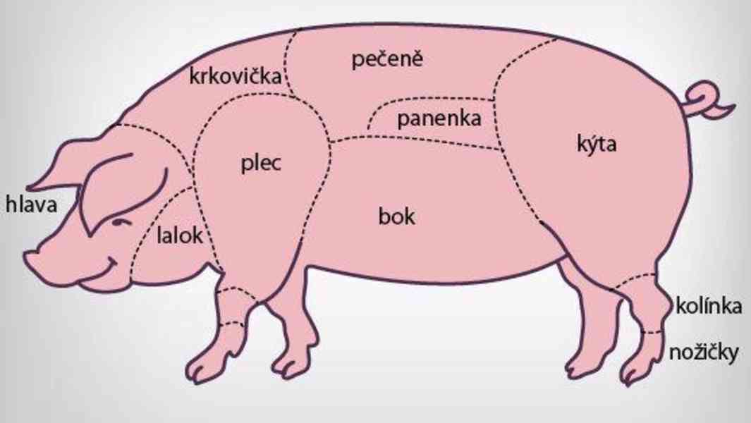 Prodám vykrmené prase - bazar - Hyperinzerce.cz