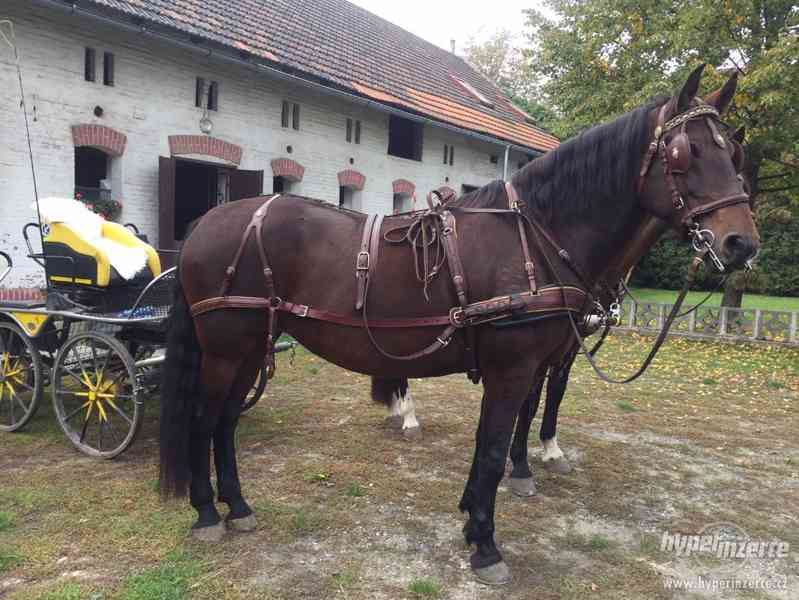 Postroje, vozatajství - Hyperinzerce.cz