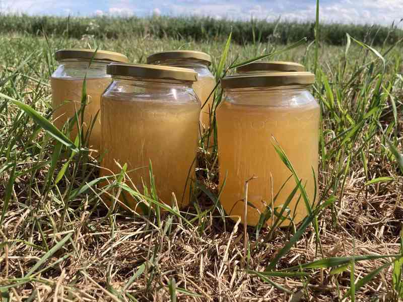 Domácí med - bazar - Hyperinzerce.cz