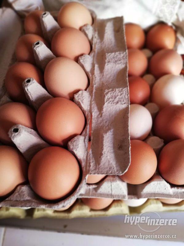 Vajicka Domácí. 4.5 Kč - bazar - Hyperinzerce.cz