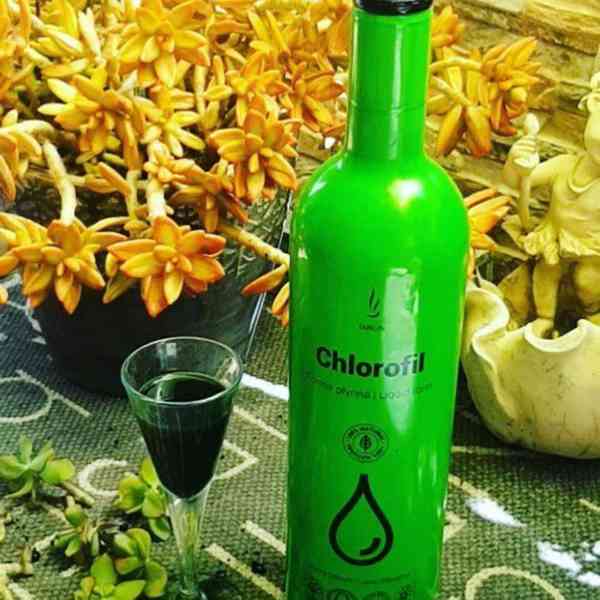 Chlorofil - bazar - Hyperinzerce.cz