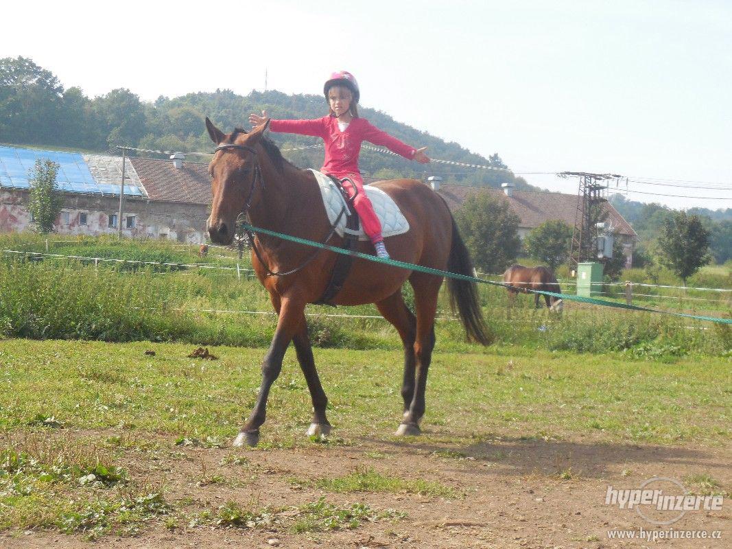 Ježdění na koních - bazar - Hyperinzerce.cz