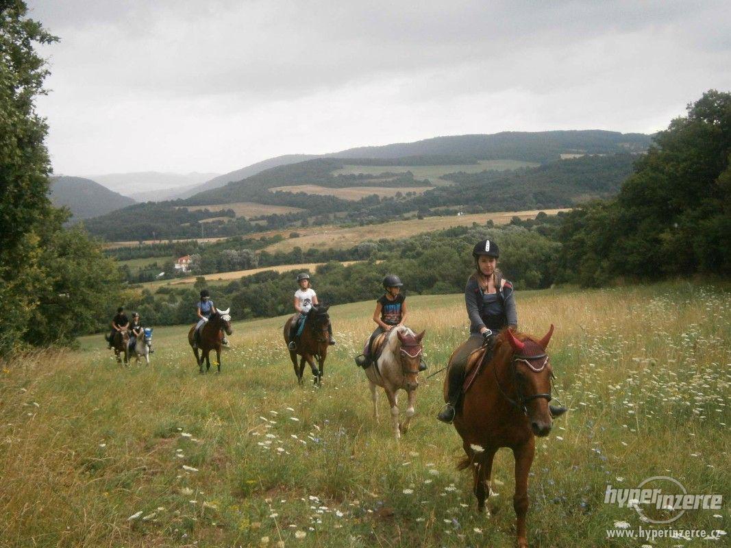 Ježdění na koních - bazar - Hyperinzerce.cz