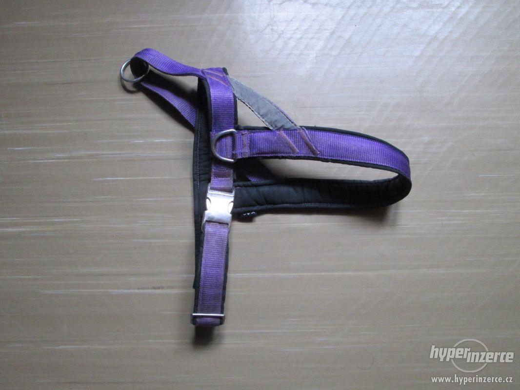 Norský postroj pro psa - bazar - Hyperinzerce.cz