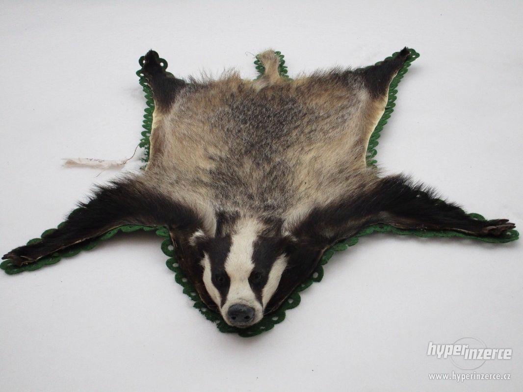 Jezevec - bazar - Hyperinzerce.cz