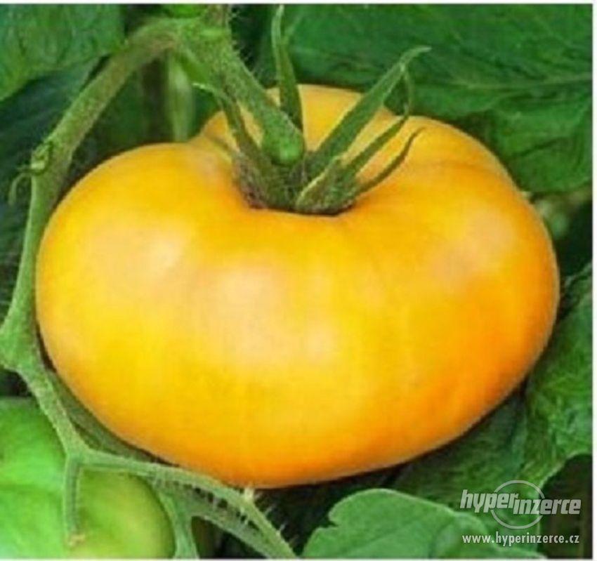 Rajče-Žluté(Dulcia):Semena :www.rostliny-prozdravi.cz - bazar ...