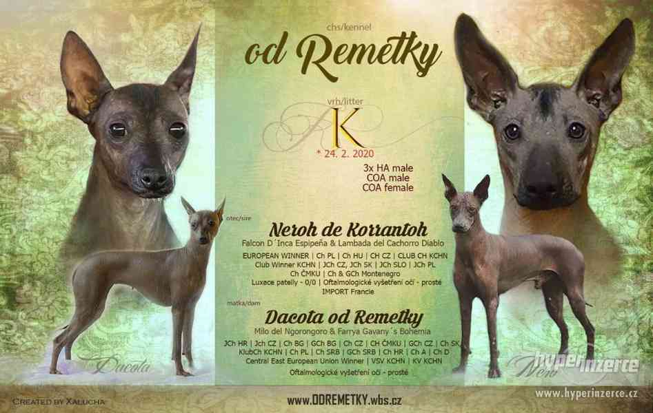 peruánský a mexický naháč - bazar - Hyperinzerce.cz