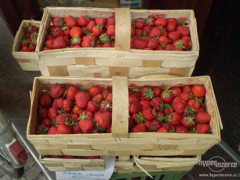 Košíky na jahody - bazar - Hyperinzerce.cz