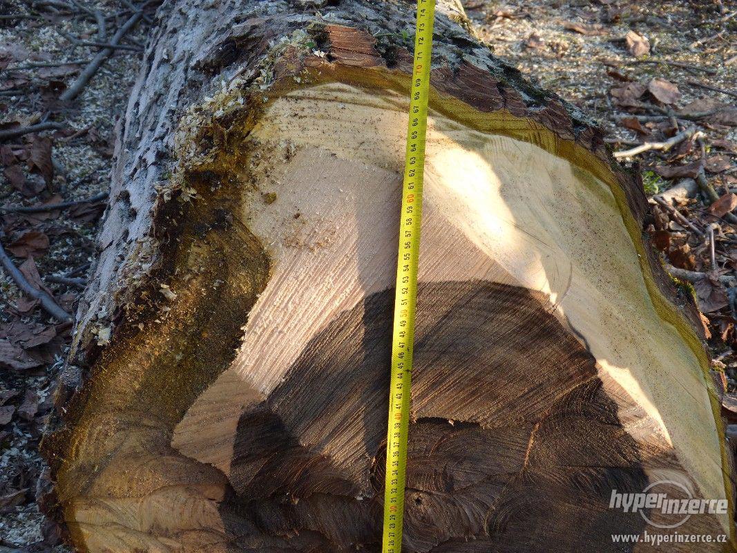 Ořechový kmen - bazar - Hyperinzerce.cz