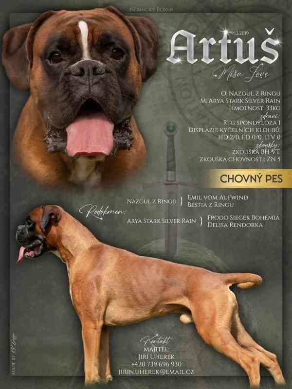 německý boxer krytí chovný pes - bazar - Hyperinzerce.cz