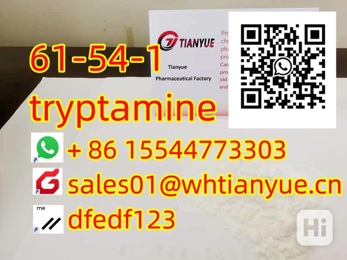 High purity CAS:61-54-1 tryptamine - bazar - Hyperinzerce.cz