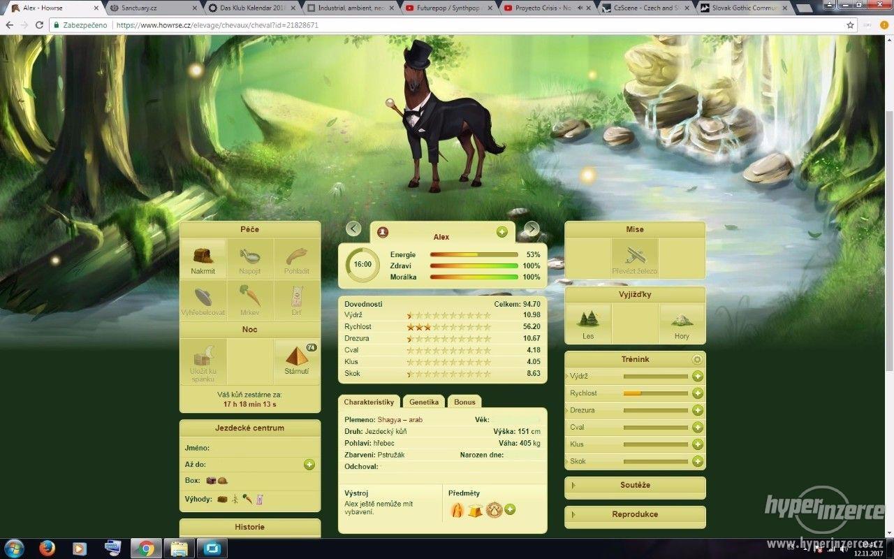 Hra online howrse.cz - bazar - Hyperinzerce.cz