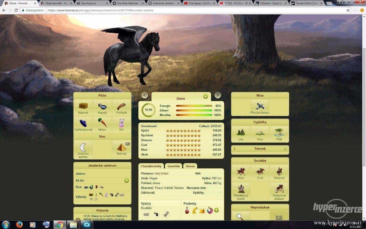 Hra online howrse.cz - bazar - Hyperinzerce.cz