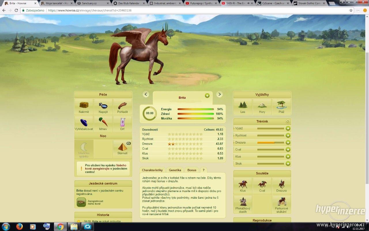 Hra online howrse.cz - bazar - Hyperinzerce.cz