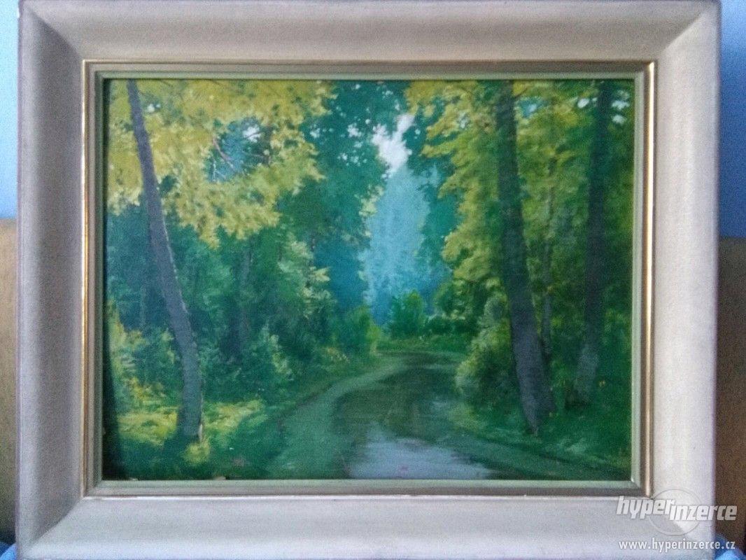 Krásné obrazy - bazar - Hyperinzerce.cz