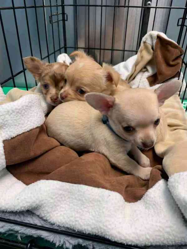 rtyui - bazar - Hyperinzerce.cz