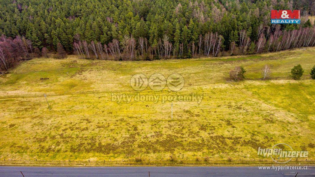 Prodej, pastviny, 42657 m2, Hrad Nečtiny, okr. Plzeň-sever - bazar - Hyperinzerce.cz