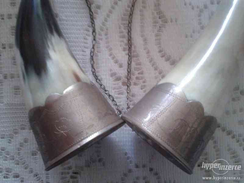 1 Lesní rohy - bazar - Hyperinzerce.cz