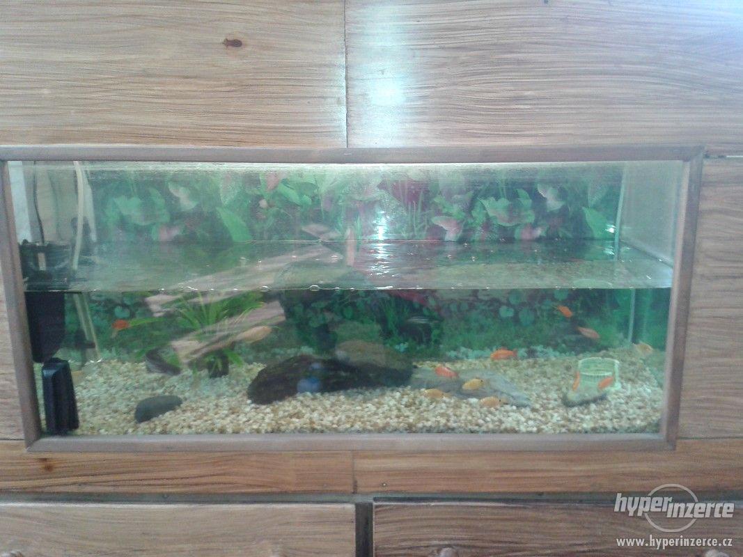 Akvárium 200L - bazar - Hyperinzerce.cz