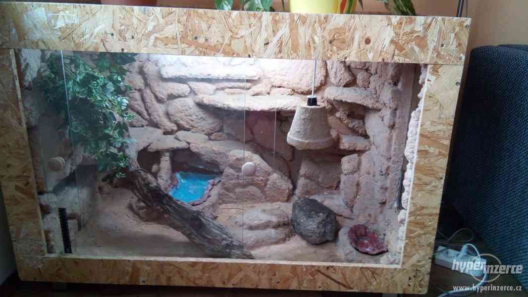Prodám Terárium - bazar - Hyperinzerce.cz
