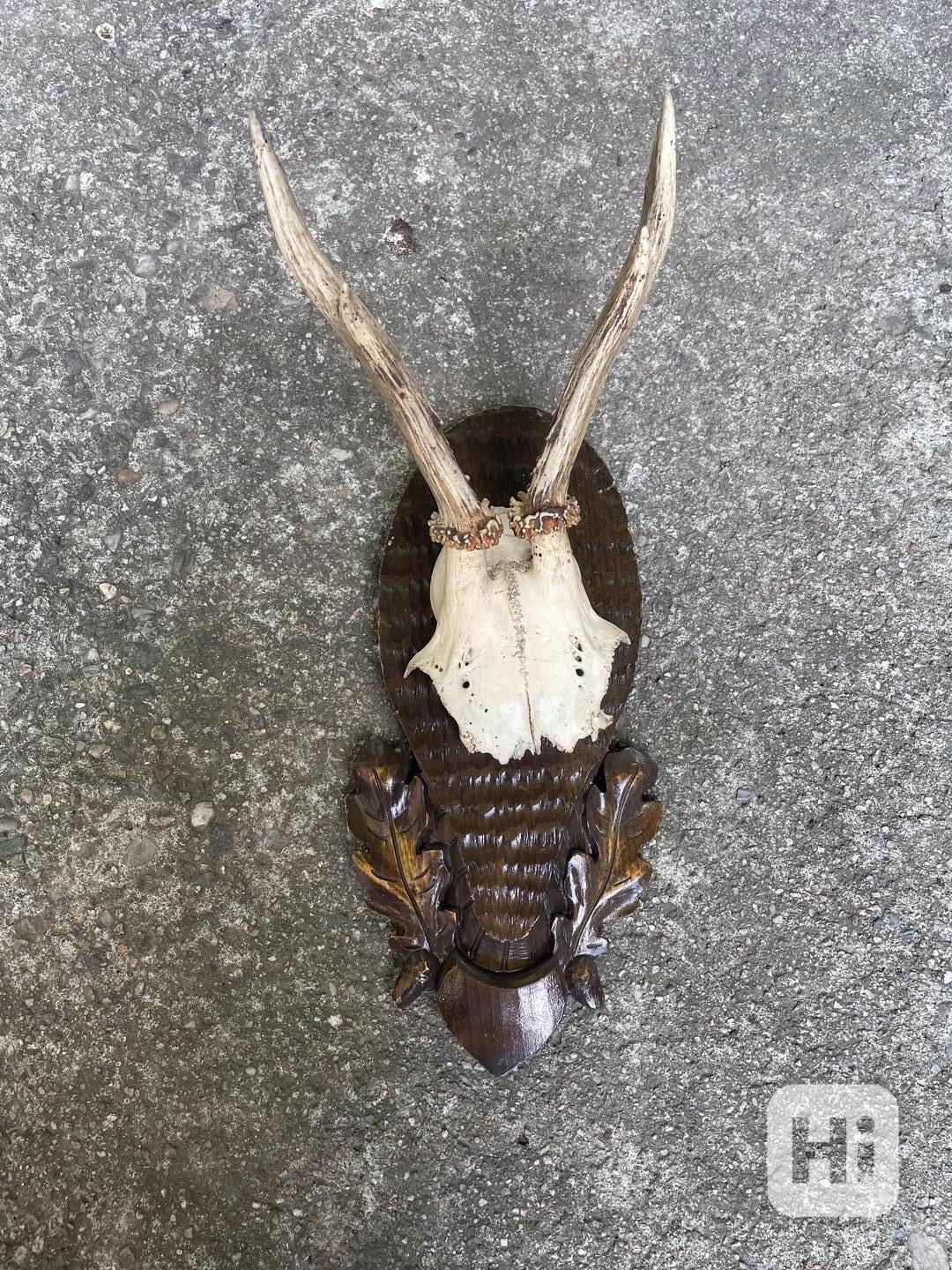 Parohy - bazar - Hyperinzerce.cz